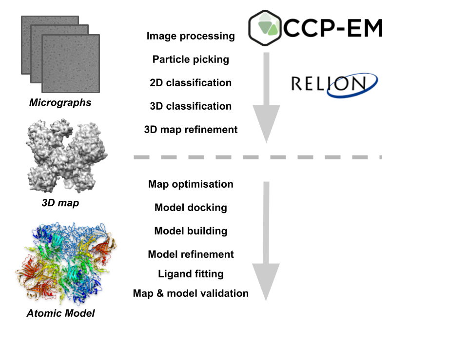 General Guides – CCP-EM